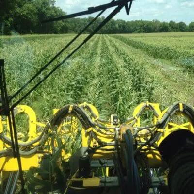 Minnesota CSA Program - Pahl's Market Community Supported Agriculture