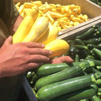 Minnesota CSA Program - Pahl's Market Community Supported Agriculture