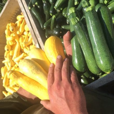 Minnesota CSA Program - Pahl's Market Community Supported Agriculture