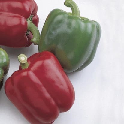 Baron Pepper (Sweet Bell) - Pahl's Market - Apple Valley, MN