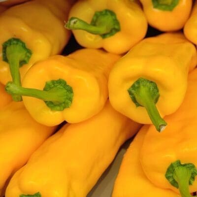 Big Daddy Hybrid Pepper (Sweet) - Pahl's Market - Apple Valley, MN