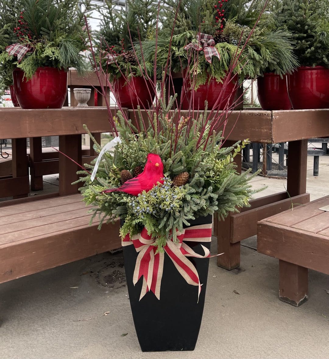 Winter Deluxe Spruce Tip Pot - Pahl's Market - Apple Valley, MN