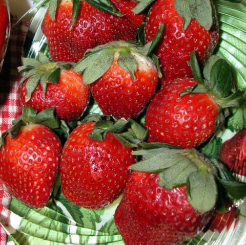 Eversweet Strawberry - Pahl's Market - Apple Valley, MN