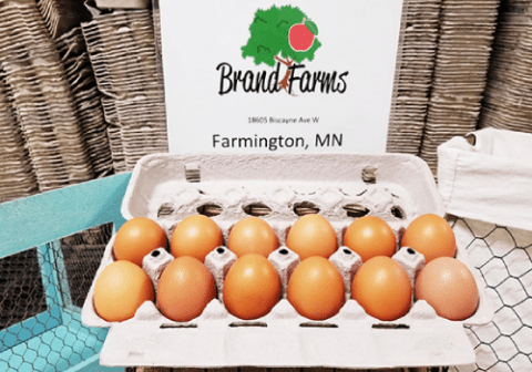 Pahl's CSA Overview - Minnesota CSA Program