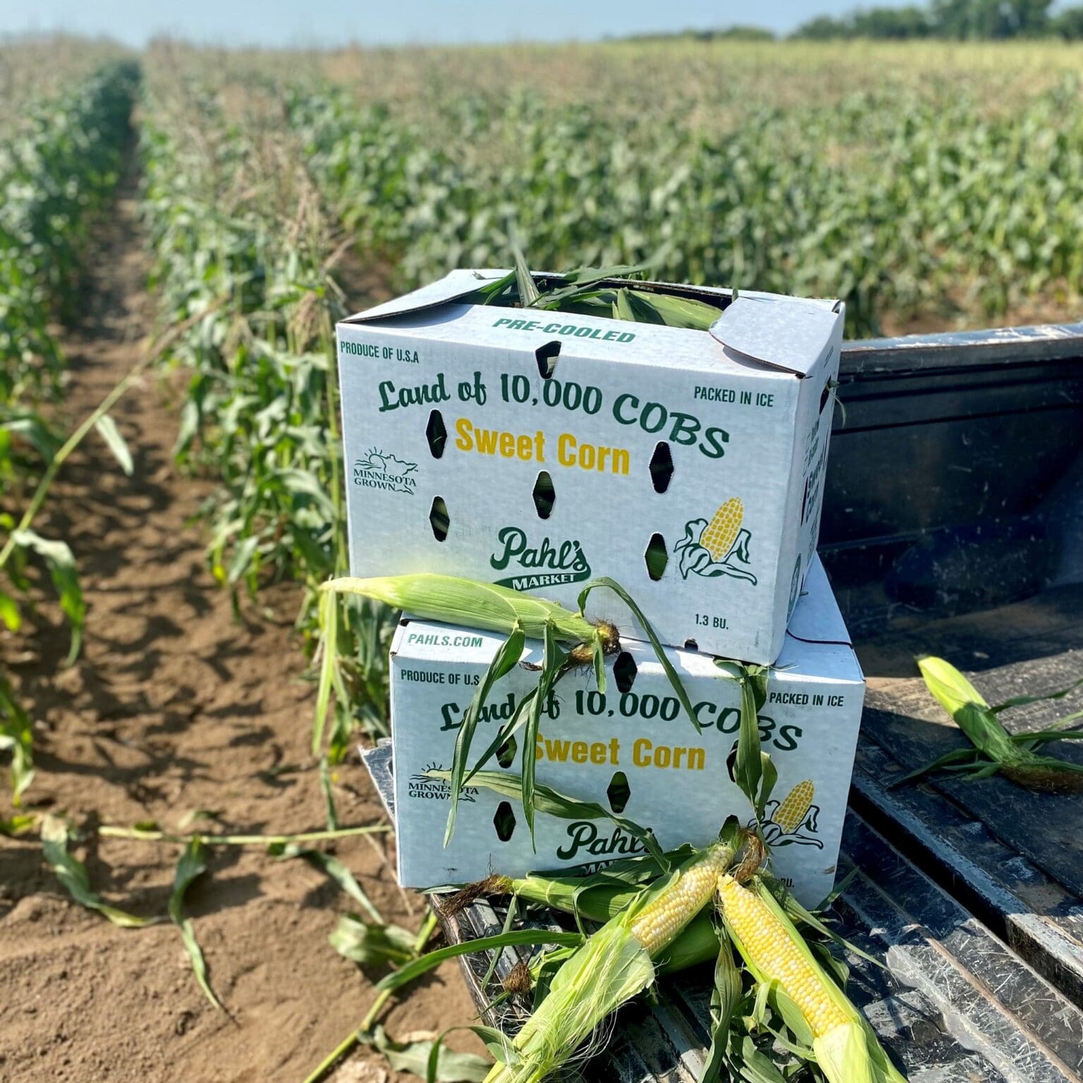 Minnesota CSA Program - Pahl's Market Community Supported Agriculture