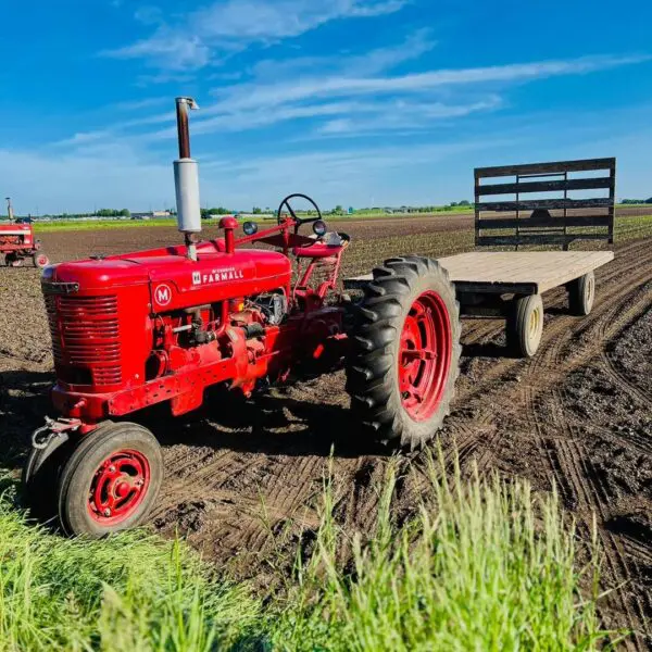 Minnesota CSA Program - Pahl's Market Community Supported Agriculture